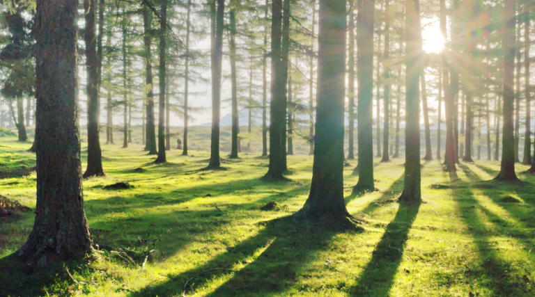 About – Parksons Packaging Ltd